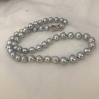 Akoya Pearl Market Report: Price Surges, Auction Dynamics, and an ...