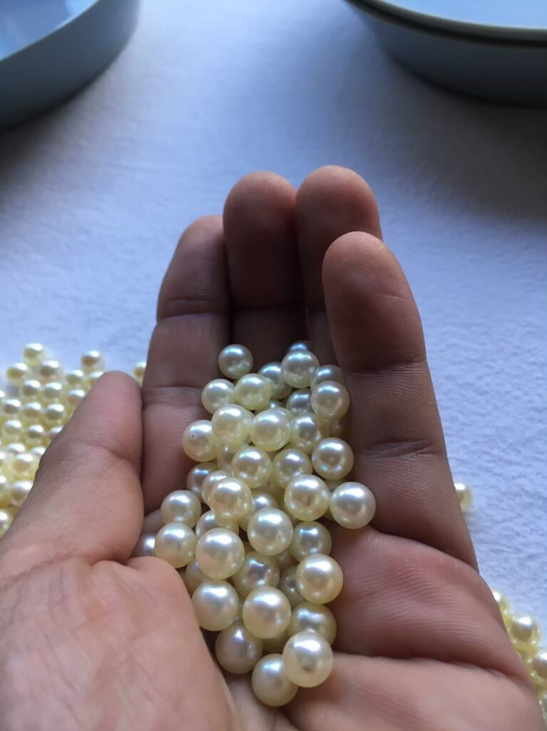 Pearl Harvest Season: Insights and Anticipations - Flower Jem