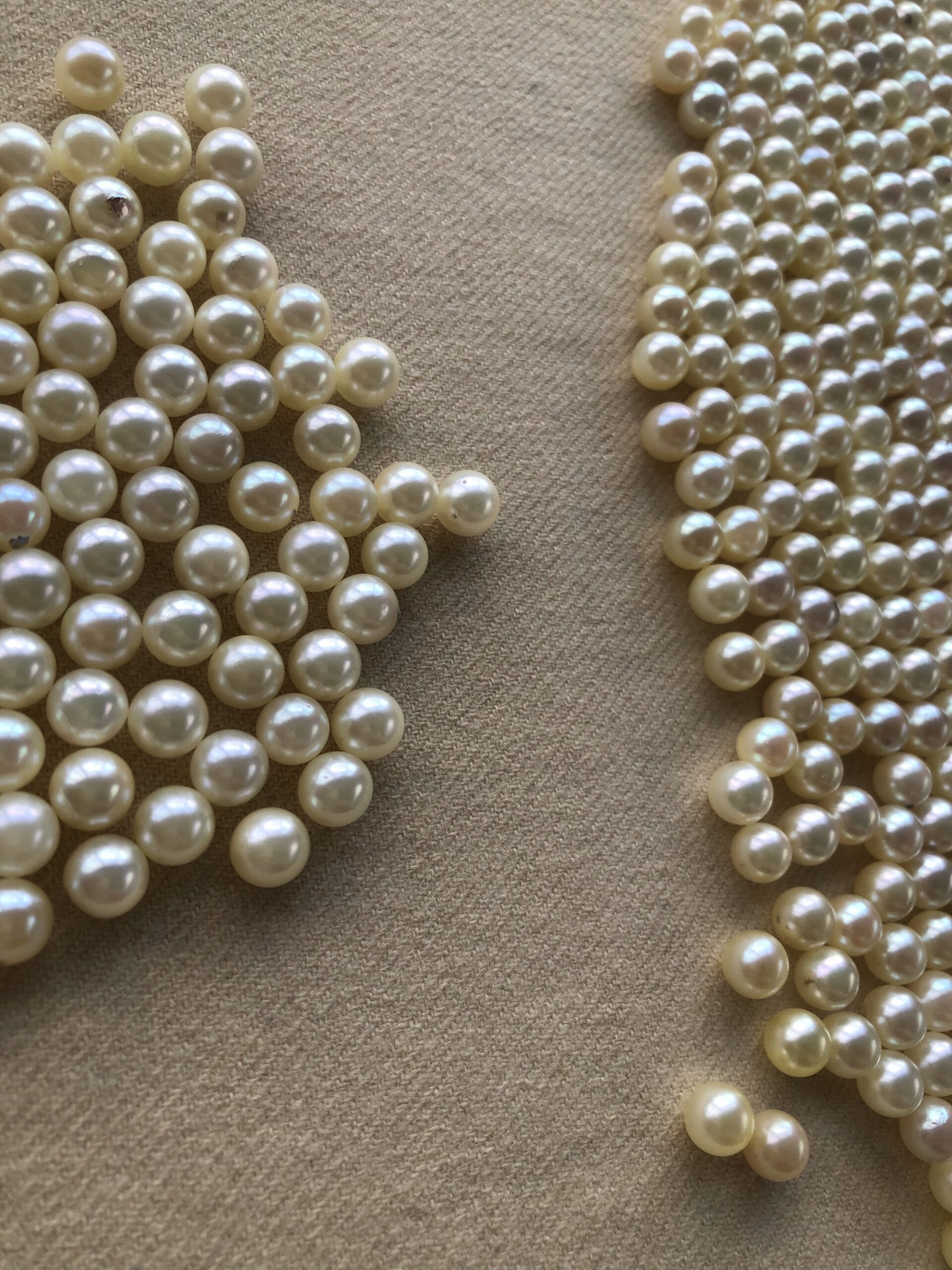 Akoya Pearl Auction: Unveiling Top-Grade Elegance