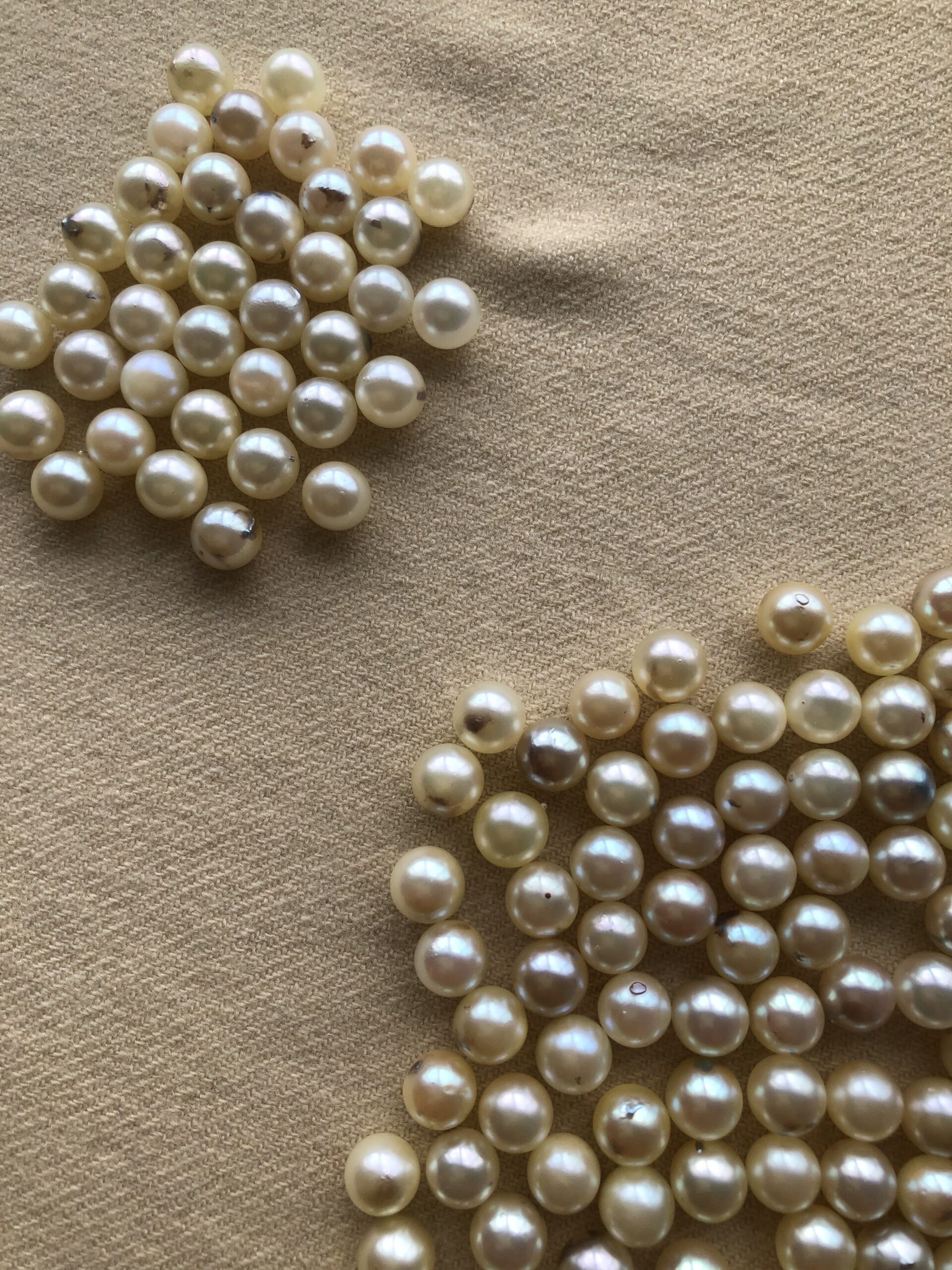 Akoya Pearl Auction: Unveiling Top-Grade Elegance