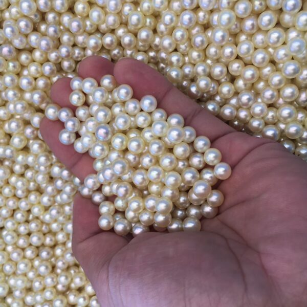 A Collection of Short Stories About All-knot